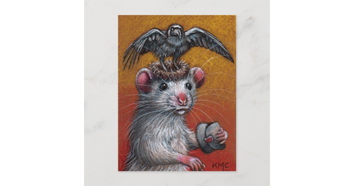 Rat in Raven Hat Postcard | Zazzle