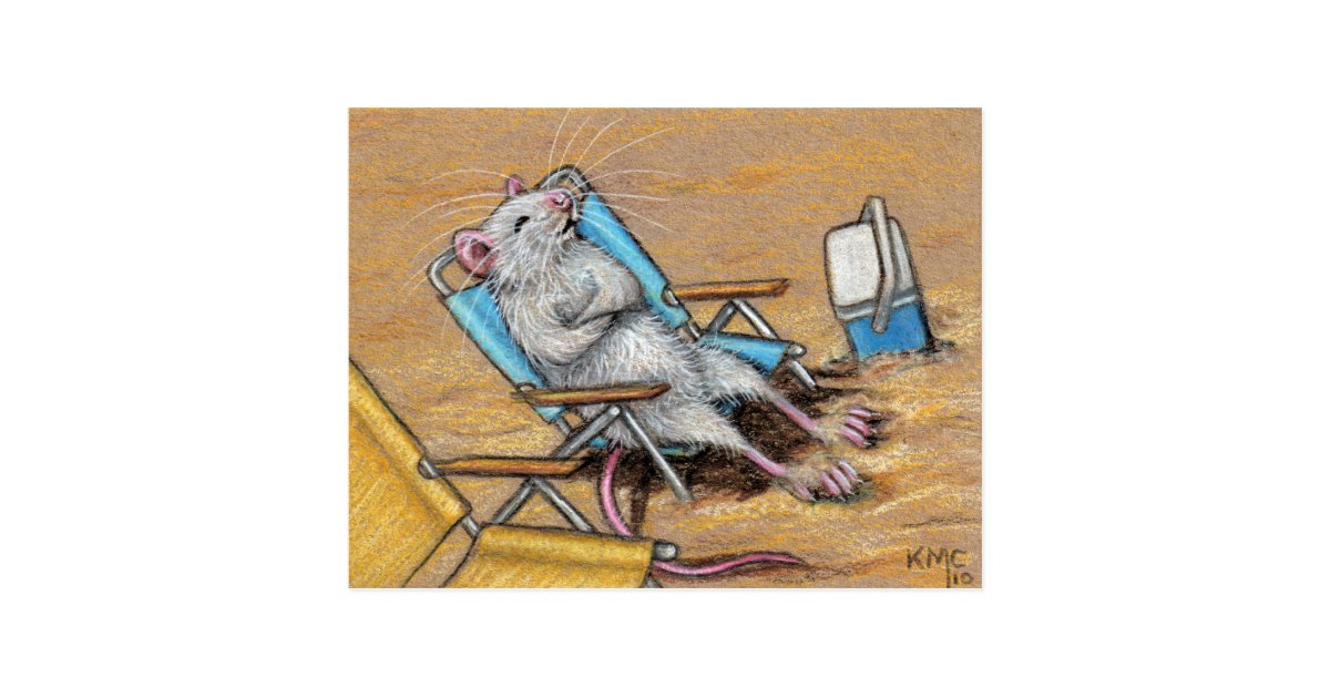 Rat relaxing on Beach Postcard | Zazzle.com