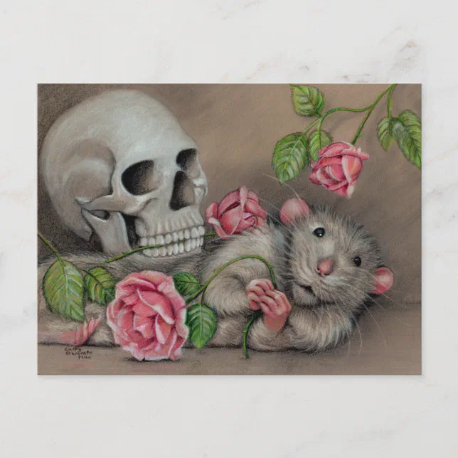 Rat Rose Skull Postcard drawing | Zazzle