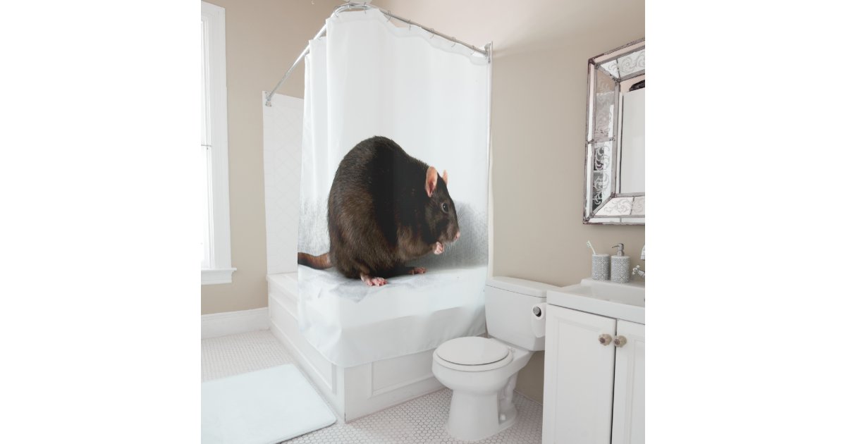 Rat scm shower curtain | Zazzle