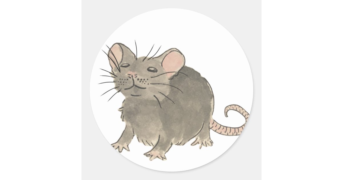 Rat Sticker | Zazzle