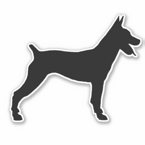 Rat terrier breed sticker | Zazzle