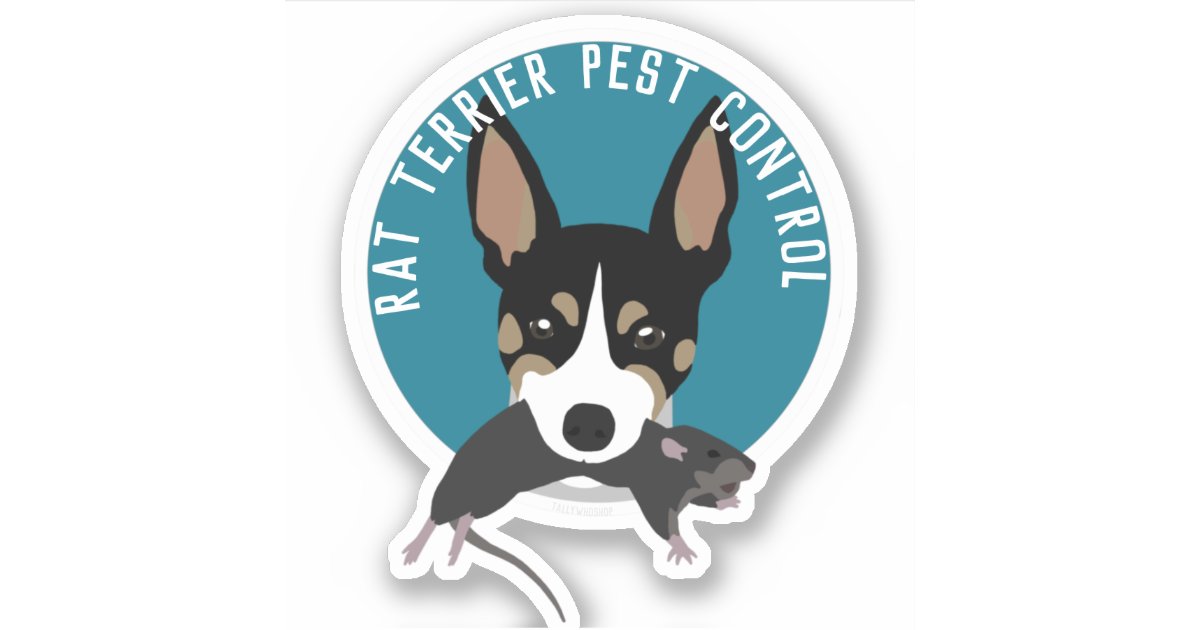 Rat terrier pest control sticker | Zazzle