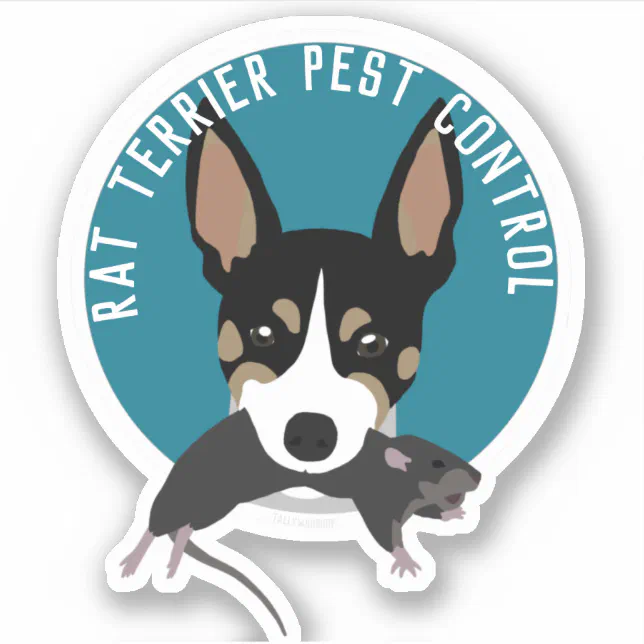 Rat terrier pest control sticker | Zazzle