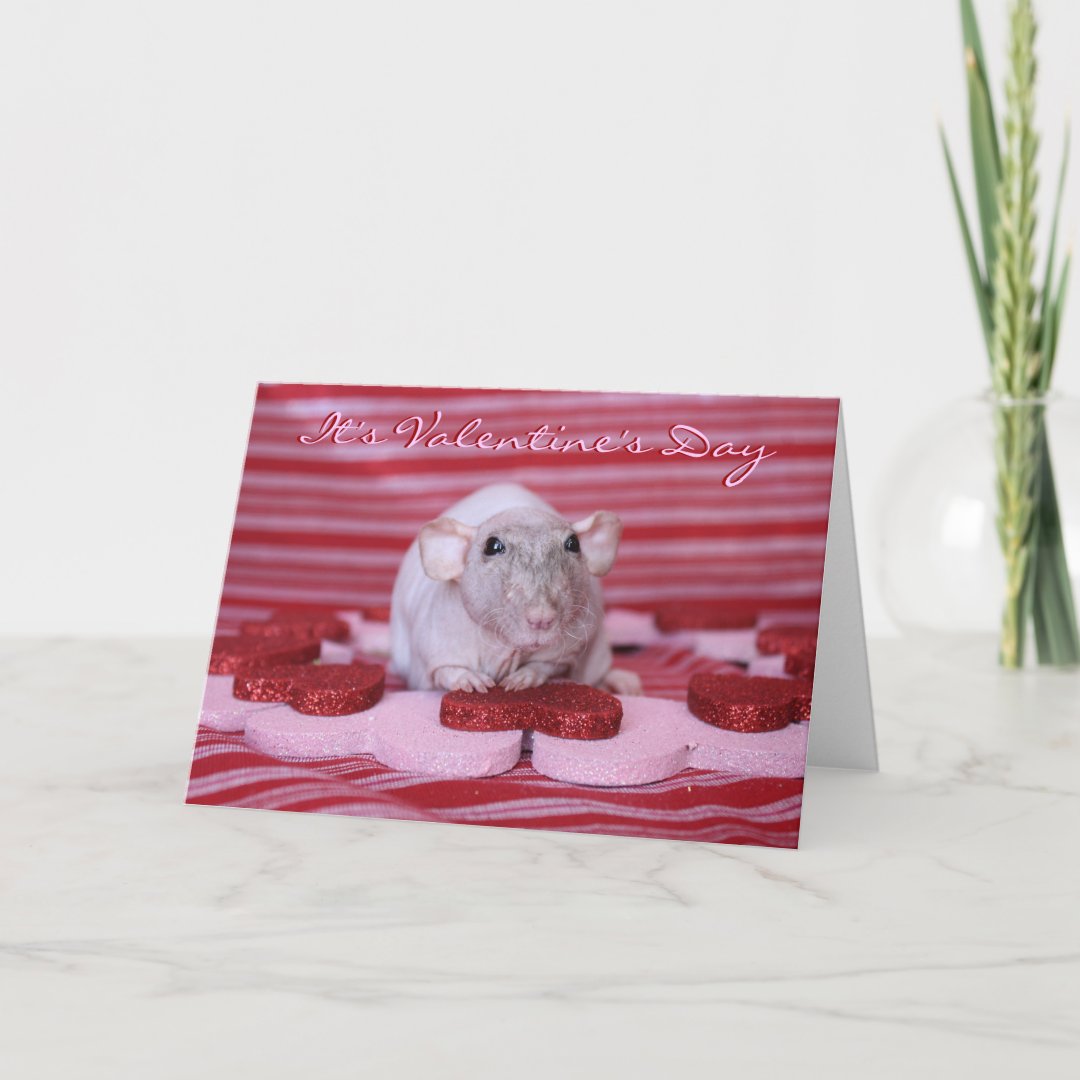 Rat Valentine Card | Zazzle