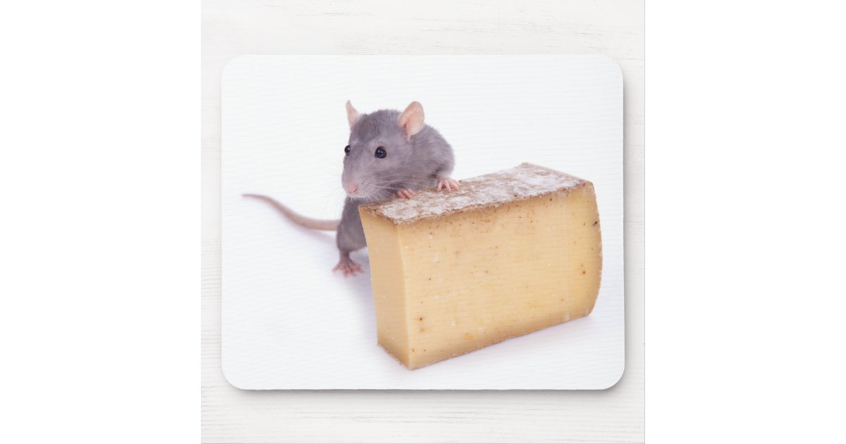 rat with cheese mouse pad | Zazzle