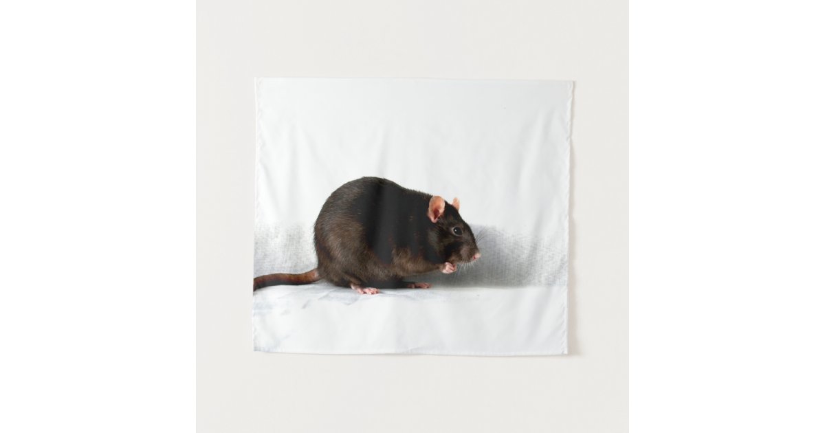 Rat wtcnm tapestry | Zazzle