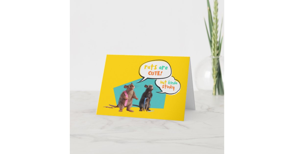 Rats Are Cute But Kinda Stinky Card | Zazzle