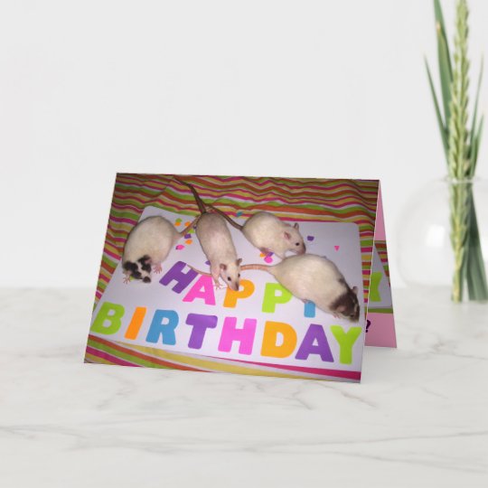 Rats Birthday Card! v1 Card | Zazzle.com