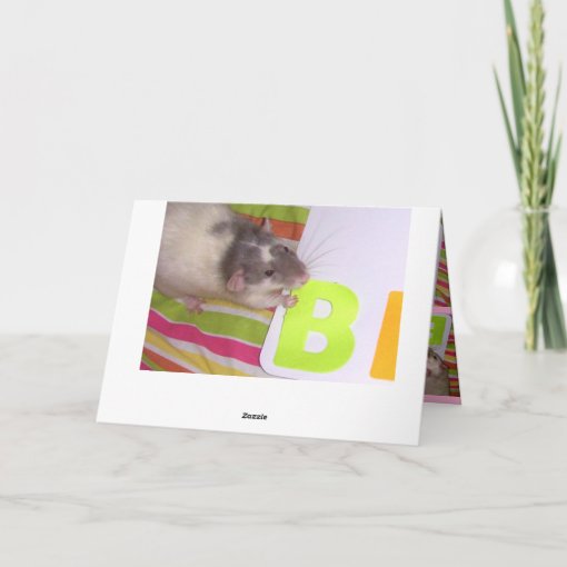 Rats Birthday Card! v1 Card | Zazzle