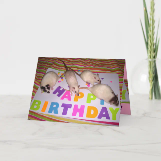 Rats Birthday Card! v1 Card | Zazzle
