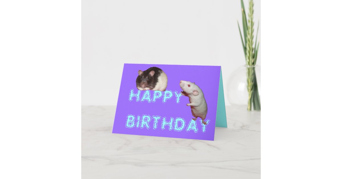 rats happy birthday card | Zazzle