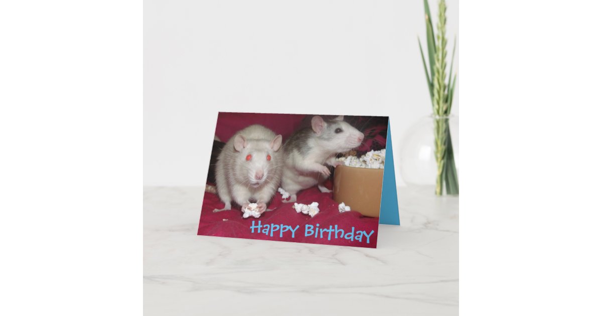 rats partying birthday card | Zazzle