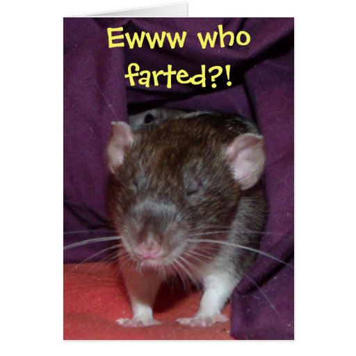 rats talking customizable greetings card | Zazzle