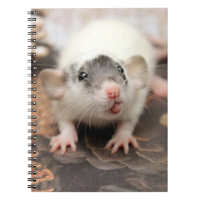 Rat's tongue! notebook | Zazzle