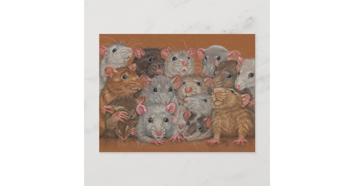 Rattie Reunion III postcard bunch gang rats | Zazzle