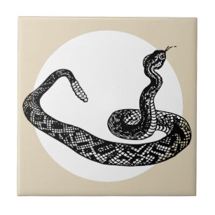 Snake Decorative Ceramic Tiles | Zazzle