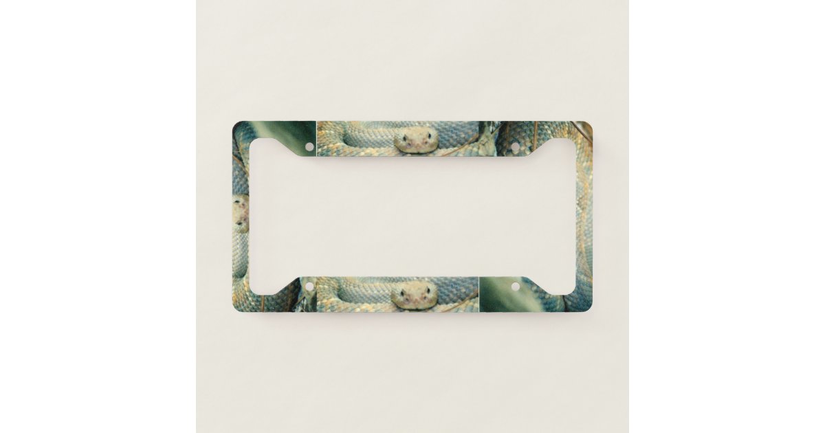 Rattlesnake License Plate Frame | Zazzle