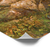 Raven 42 by James Dietz Poster | Zazzle