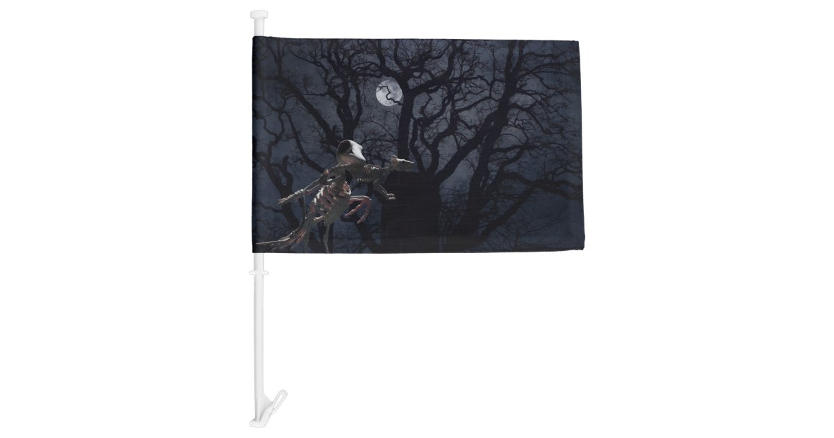 Raven and Rat Skeleton in Moonlight Car Flag | Zazzle