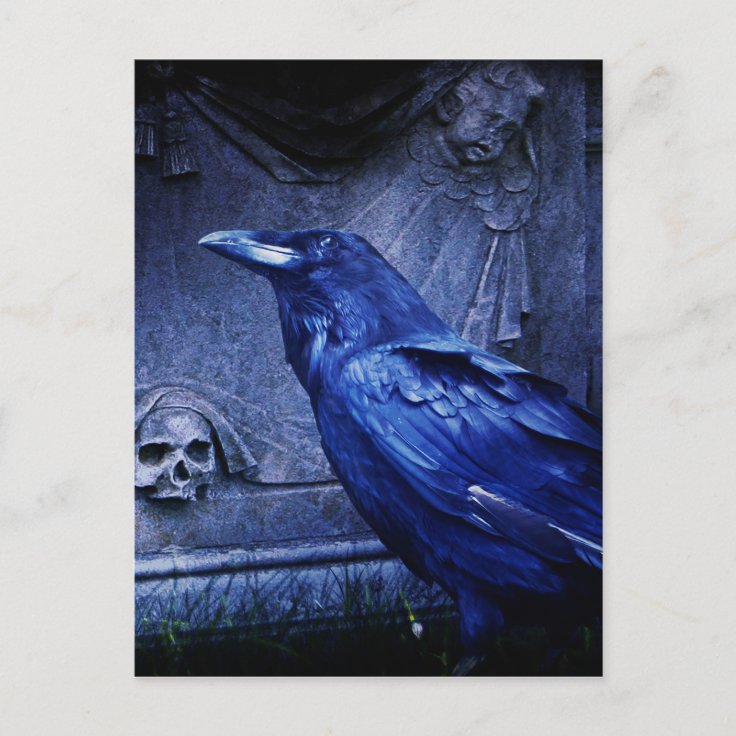 Raven At Tombstone Postcard | Zazzle