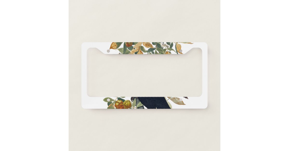 Raven Bird License Plate Frame | Zazzle
