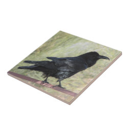 Raven Ceramic Tile | Zazzle