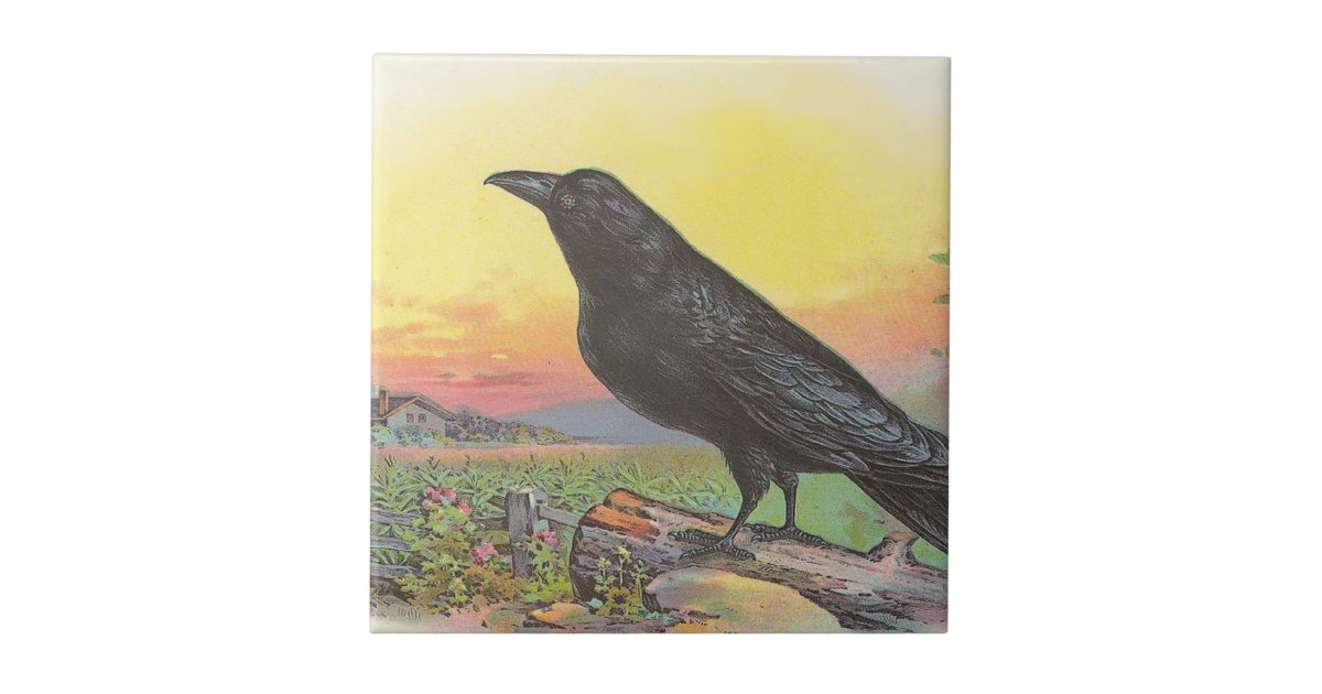 Raven Ceramic Tile | Zazzle