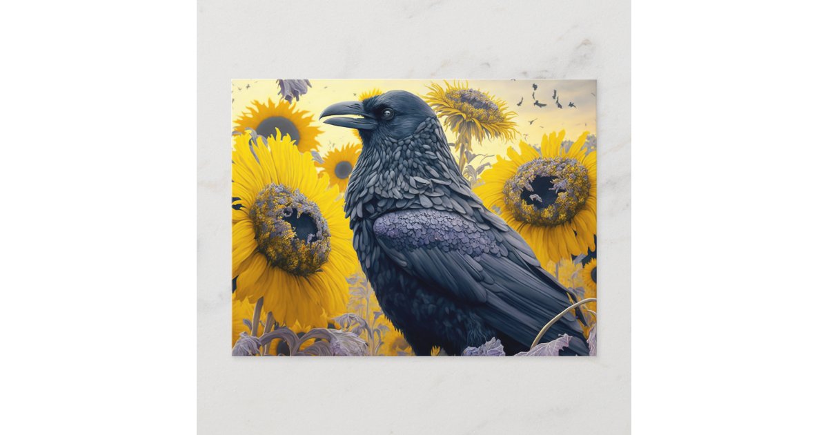 Raven in Sunflower Field Postcard | Zazzle