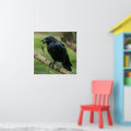 Raven on a Branch with Key Poster | Zazzle
