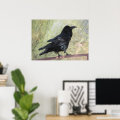 Raven Poster | Zazzle