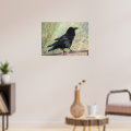 Raven Poster | Zazzle