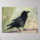 Raven Poster | Zazzle