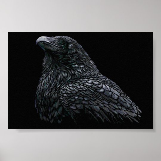 Raven Poster | Zazzle.com
