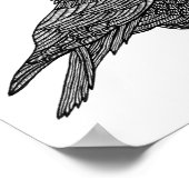 Raven Poster | Zazzle