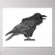 Raven Poster | Zazzle