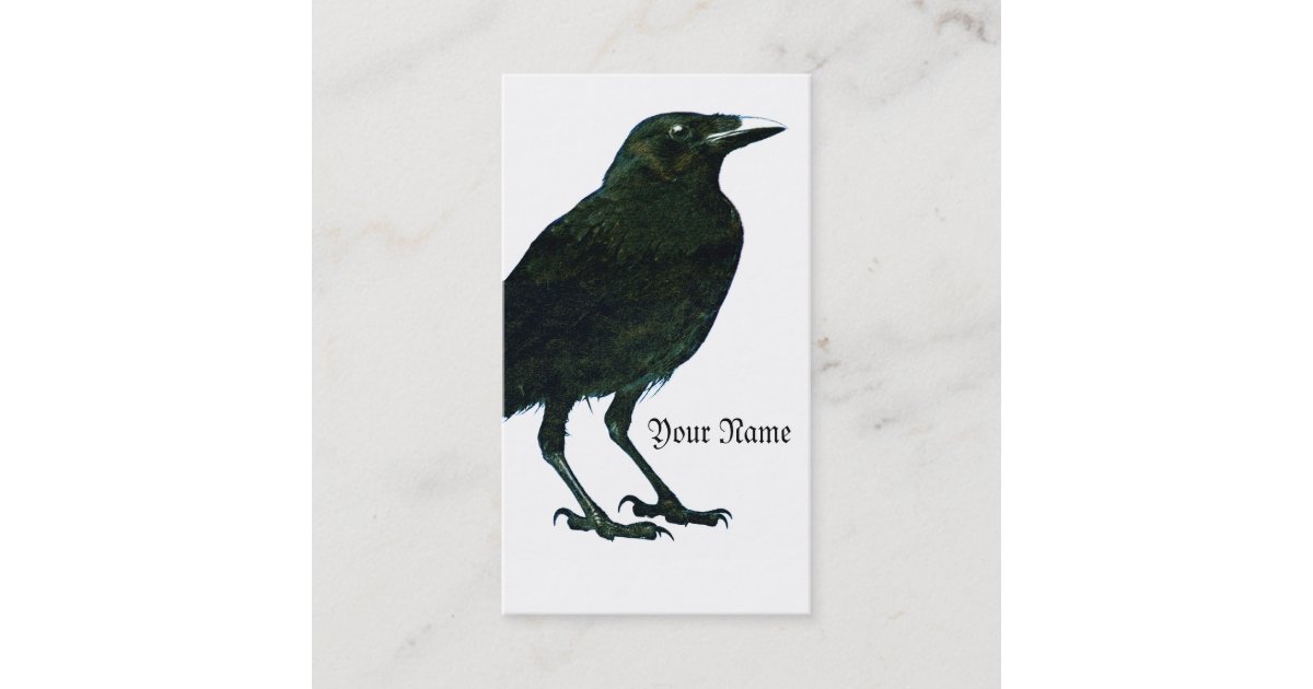 Raven Profile Card | Zazzle