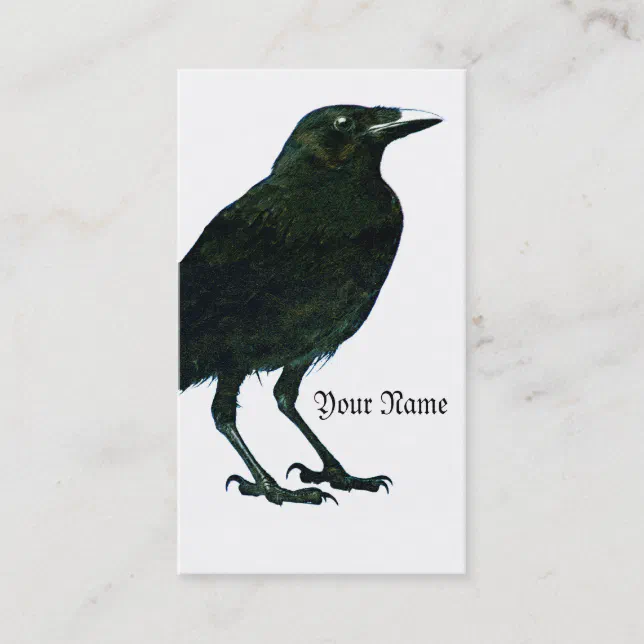 Raven Profile Card | Zazzle
