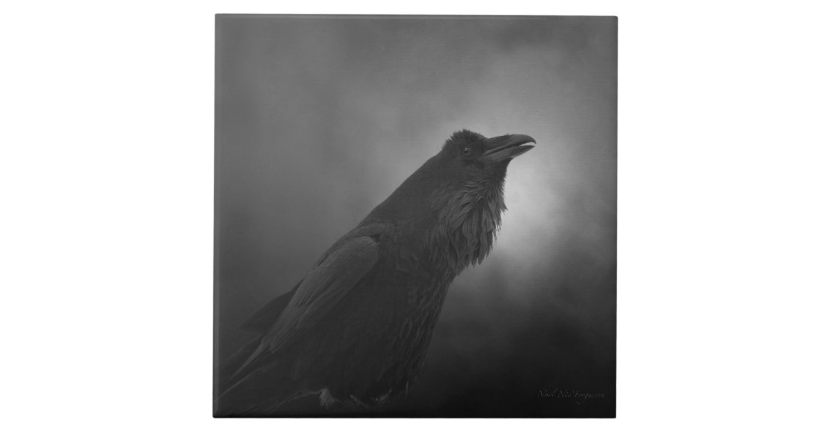 Raven raven Talking, original digital illustration Tile | Zazzle
