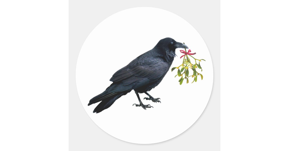 Raven with Mistletoe Stickers | Zazzle
