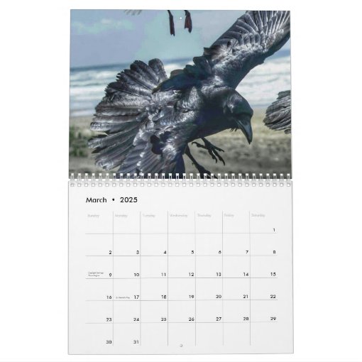 Ravenesque magical Bird 2018 18 month calendar | Zazzle
