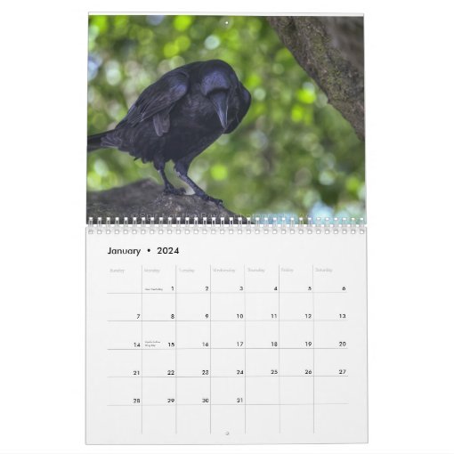 Ravenesque magical Bird 2018 18 month calendar | Zazzle