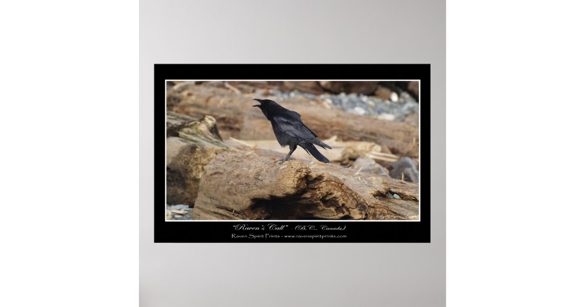 "RAVEN'S CALL" Photo Print | Zazzle
