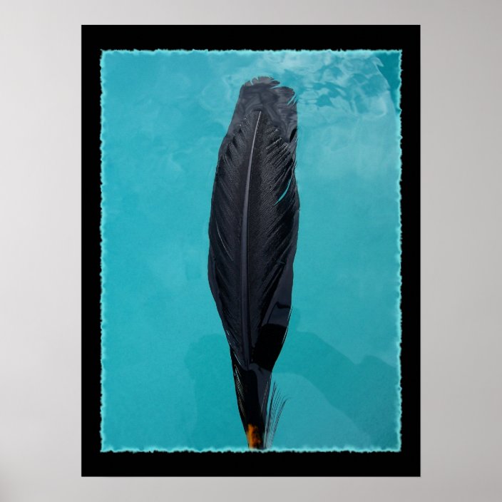 Raven's Feather Poster | Zazzle