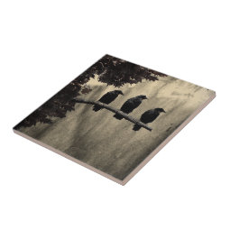 Ravens Perched Ceramic Tile | Zazzle