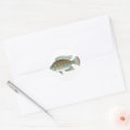 Raw Seafood Tilapia Fish Vector Classic Round Sticker | Zazzle