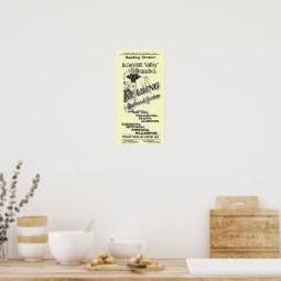 Reading Railroad System Timetable Cover 1894 Poster | Zazzle