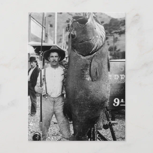Real Big Fish, early 1900s Postcard | Zazzle
