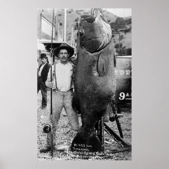 Real Big Fish, early 1900s Poster | Zazzle