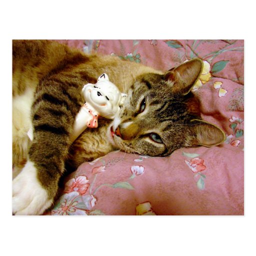 Real Cat, Fake Cat Postcard | Zazzle
